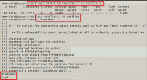 Kernel Exploits – Linux Privilege Escalation