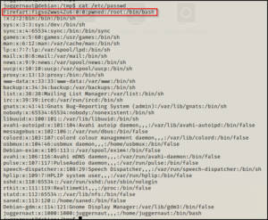Kernel Exploits – Linux Privilege Escalation
