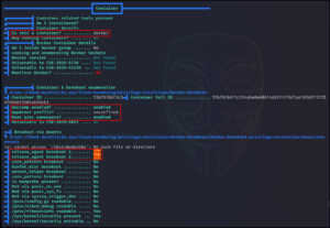 Docker Breakout – Linux Privilege Escalation