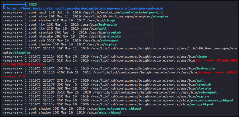 SUID | SGID Part-1 – Linux Privilege Escalation